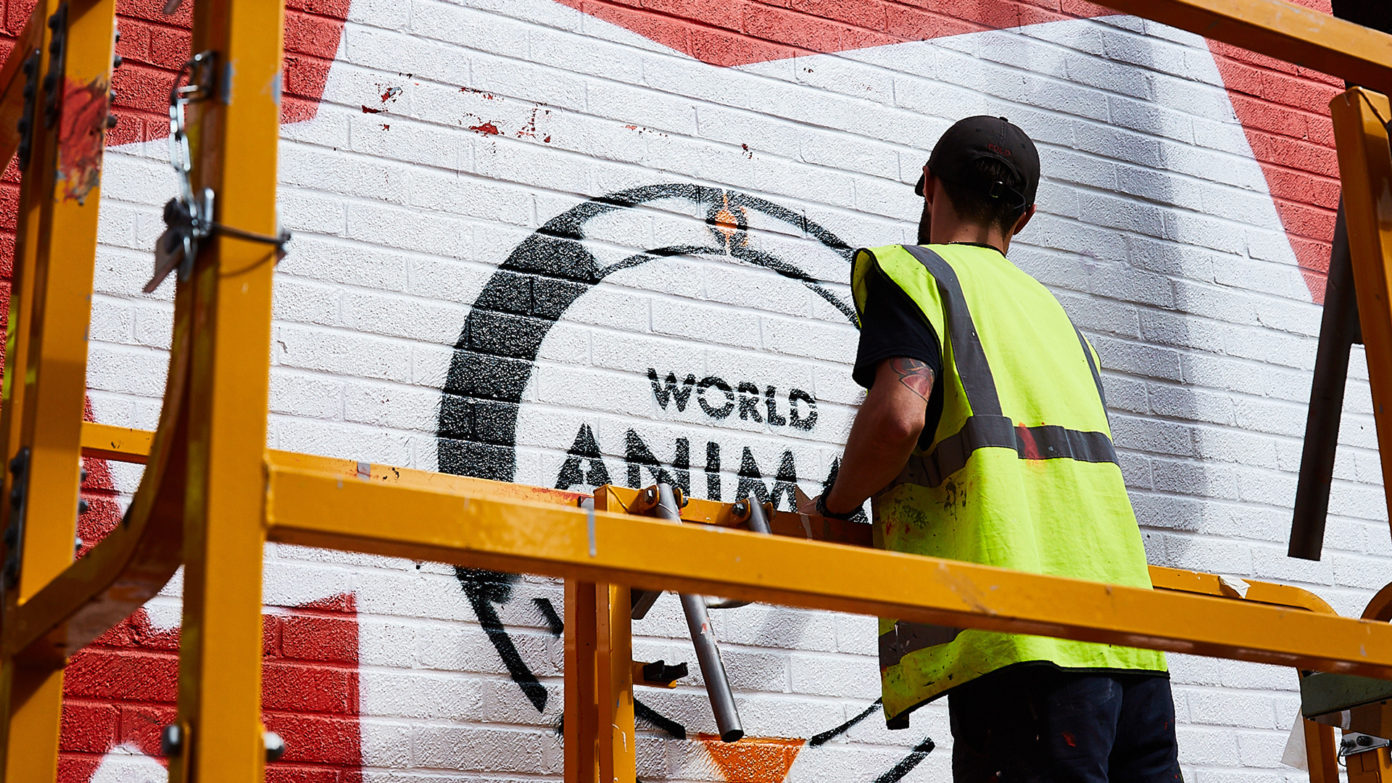 Red Stone | Response to KFC campaign