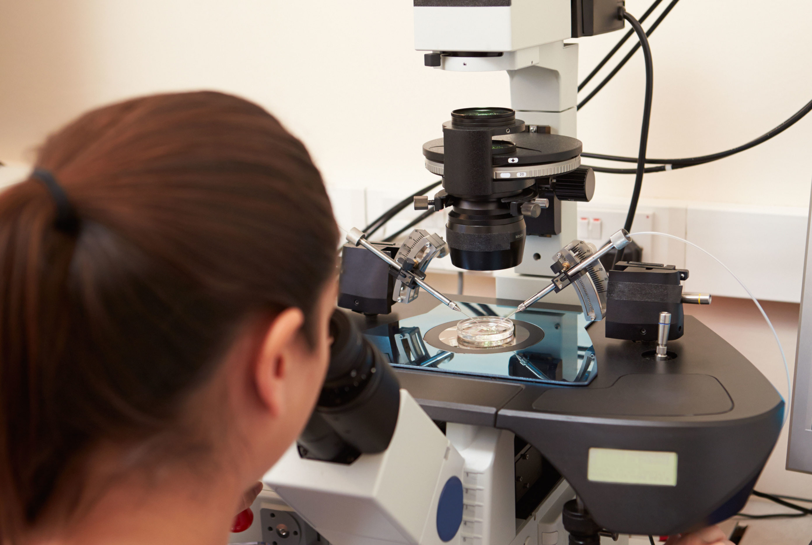 Red Stone | Brand identity